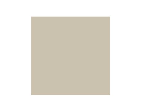 Bunglehouse Gray SW2845 Paint by Sherwin-Williams - modlar.com