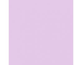 Magical SW6829 Paint by Sherwin-Williams - modlar.com