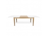Niche Extendable Dining Table - modlar.com