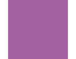 Passionate Purple SW6981 Paint by Sherwin-Williams - modlar.com