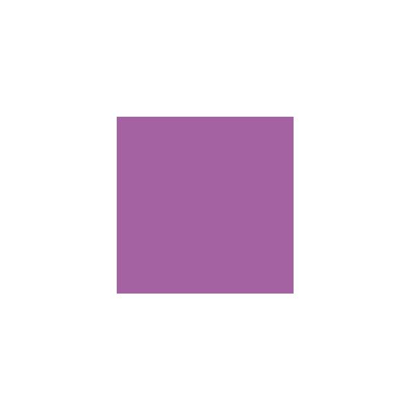 Passionate Purple SW6981 Paint by Sherwin-Williams - modlar.com