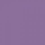 Plummy SW6558 Paint by Sherwin-Williams - modlar.com