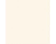 Classical White SW2829 Paint by Sherwin-Williams - modlar.com