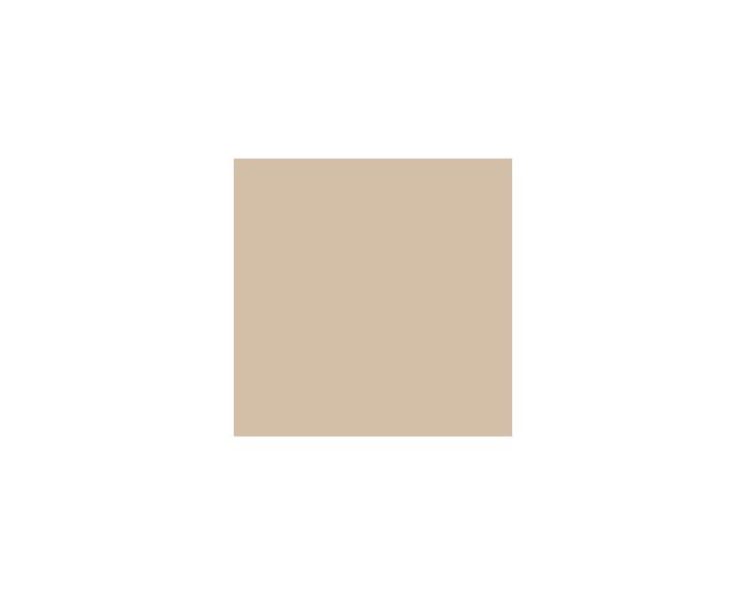 Colonial Revival Stone SW2827 Paint by Sherwin-Williams - modlar.com