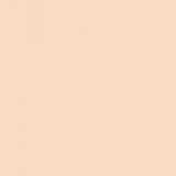 Colonial Revival Tan SW2828 Paint by Sherwin-Williams - modlar.com