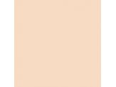 Colonial Revival Tan SW2828 Paint by Sherwin-Williams - modlar.com