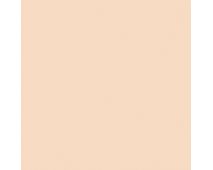 Colonial Revival Tan SW2828 Paint by Sherwin-Williams - modlar.com
