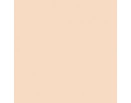 Colonial Revival Tan SW2828 Paint by Sherwin-Williams - modlar.com