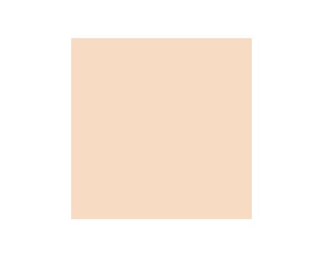 Colonial Revival Tan SW2828 Paint by Sherwin-Williams - modlar.com