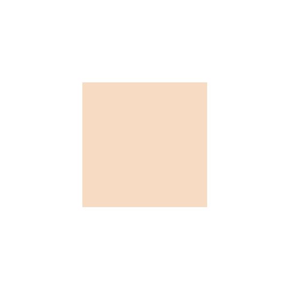 Colonial Revival Tan SW2828 Paint by Sherwin-Williams - modlar.com