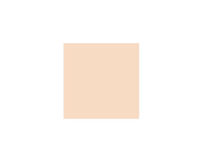 Colonial Revival Tan SW2828 Paint by Sherwin-Williams - modlar.com