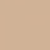 Craftsman Brown SW2835 Paint by Sherwin-Williams - modlar.com