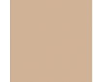 Craftsman Brown SW2835 Paint by Sherwin-Williams - modlar.com