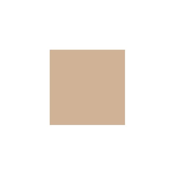 Craftsman Brown SW2835 Paint by Sherwin-Williams - modlar.com