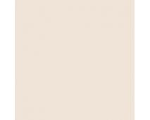 Downing Sand SW2822 Paint by Sherwin-Williams - modlar.com