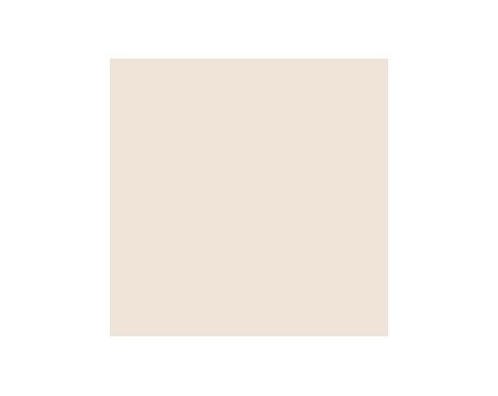 Downing Sand SW2822 Paint by Sherwin-Williams - modlar.com