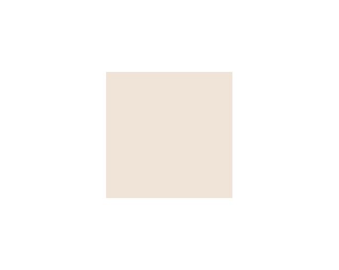 Downing Sand SW2822 Paint by Sherwin-Williams - modlar.com