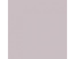 Quest Gray SW7080 Paint by Sherwin-Williams - modlar.com