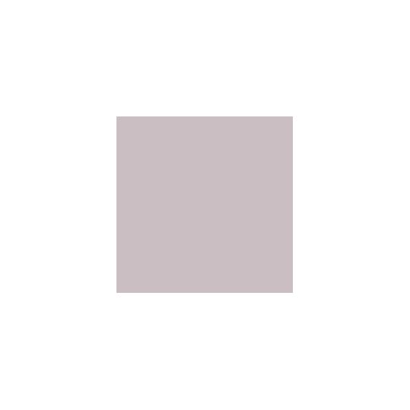 Quest Gray SW7080 Paint by Sherwin-Williams - modlar.com