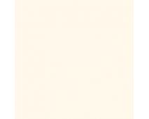 Honied White SW7106 Paint by Sherwin-Williams - modlar.com