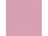 Rose SW6290 Paint by Sherwin-Williams - modlar.com
