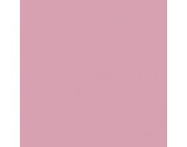 Rose SW6290 Paint by Sherwin-Williams - modlar.com