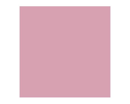 Rose SW6290 Paint by Sherwin-Williams - modlar.com