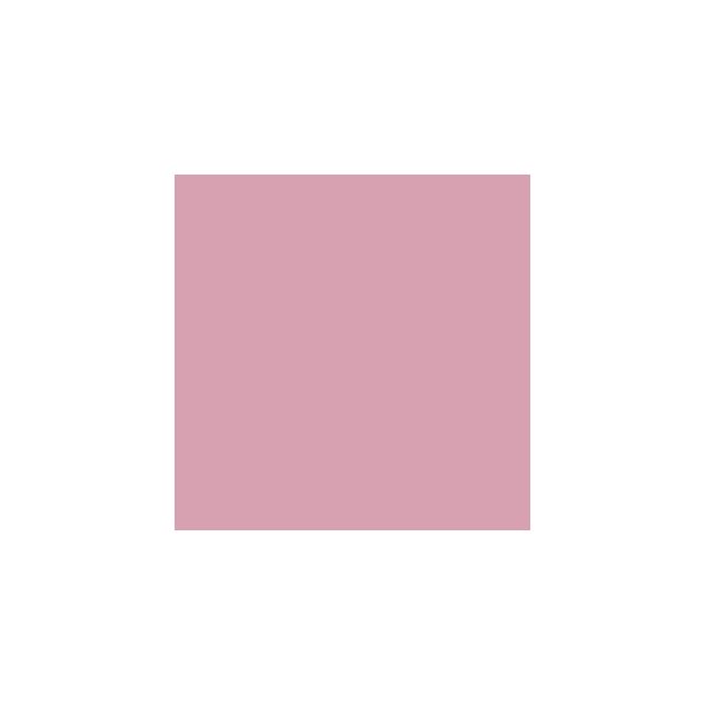 Rose SW6290 Paint by Sherwin-Williams - modlar.com