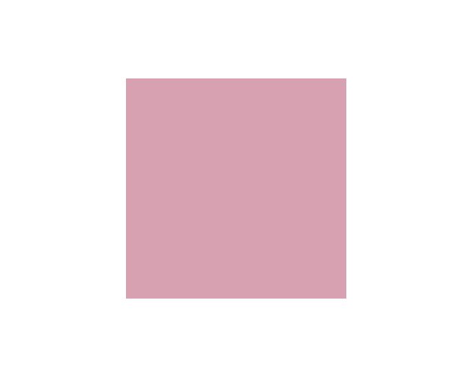 Rose SW6290 Paint by Sherwin-Williams - modlar.com