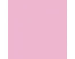 Rosebay SW6563 Paint by Sherwin-Williams - modlar.com