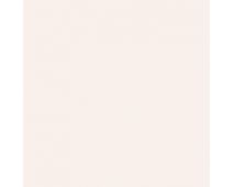 Reliable White SW6091 Paint by Sherwin-Williams - modlar.com