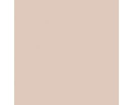 Renwick Beige SW2805 Paint by Sherwin-Williams - modlar.com