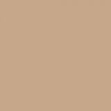 Rookwood Clay SW2823 Paint by Sherwin-Williams - modlar.com