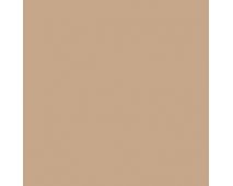 Rookwood Clay SW2823 Paint by Sherwin-Williams - modlar.com