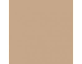 Rookwood Clay SW2823 Paint by Sherwin-Williams - modlar.com