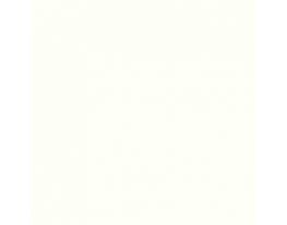 Sagey SW6175 Paint by Sherwin-Williams - modlar.com