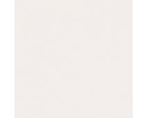 Simple White SW7021 Paint by Sherwin-Williams - modlar.com