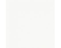 Snowfall SW6000 Paint by Sherwin-Williams - modlar.com