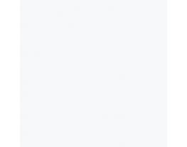 Superwhite SW6995 Paint by Sherwin-Williams - modlar.com