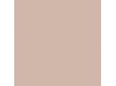 Sycamore Tan SW2855 Paint by Sherwin-Williams - modlar.com
