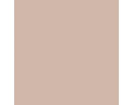 Sycamore Tan SW2855 Paint by Sherwin-Williams - modlar.com