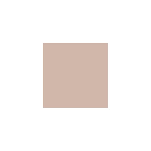 Sycamore Tan SW2855 Paint by Sherwin-Williams - modlar.com