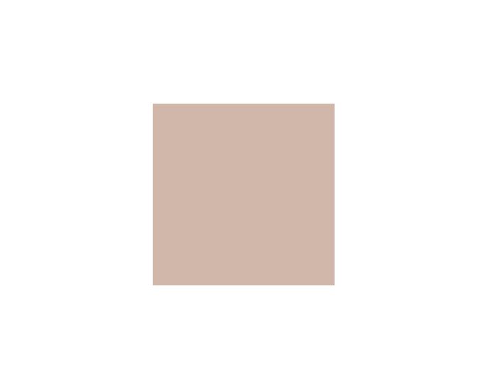 Sycamore Tan SW2855 Paint by Sherwin-Williams - modlar.com