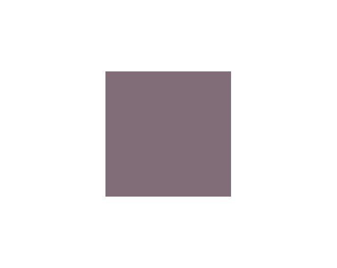 Stunning Shade SW7082 Paint by Sherwin-Williams - modlar.com