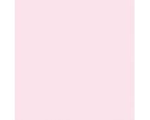 Teaberry SW6561 Paint by Sherwin-Williams - modlar.com