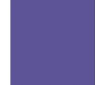 Valiant Violet SW6818 Paint by Sherwin-Williams - modlar.com