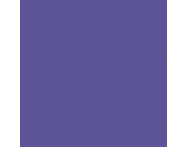 Valiant Violet SW6818 Paint by Sherwin-Williams - modlar.com