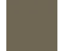 Enduring Bronze SW7055 Paint by Sherwin-Williams - modlar.com