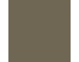 Enduring Bronze SW7055 Paint by Sherwin-Williams - modlar.com