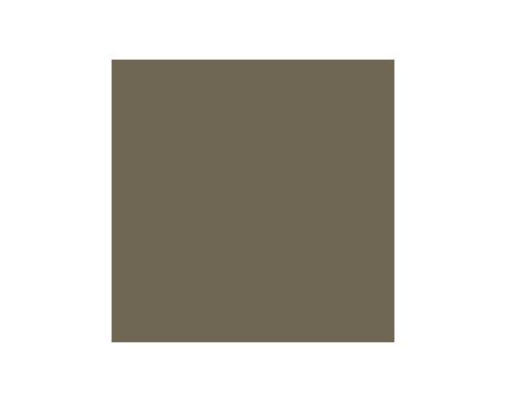 Enduring Bronze SW7055 Paint by Sherwin-Williams - modlar.com